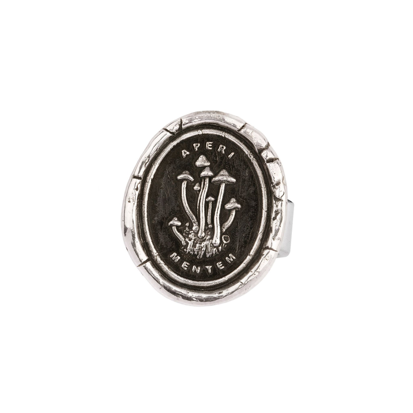 Open Your Mind Talisman Ring